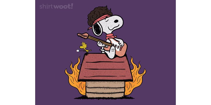 Beagle on Fire