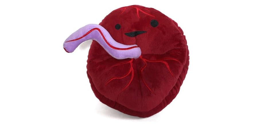 Baby's First Roomate (Placenta)