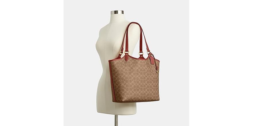 Coach Day Tote, B4/Tan Rust