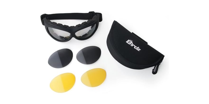 Buzzard Motorcycle Goggle Kit - 3 Lenses