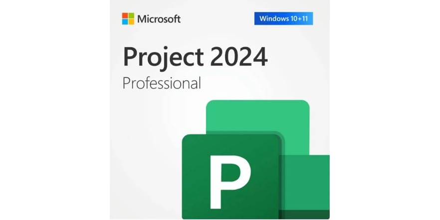 Microsoft Project Professional 2024