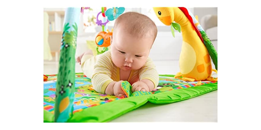 Fisher-Price Rainforest Gym