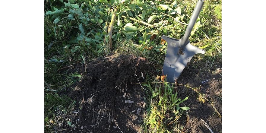 Radius Garden Root Slayer Shovel