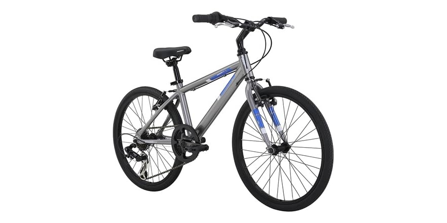 Insight Performance Bike 20'' Wheels