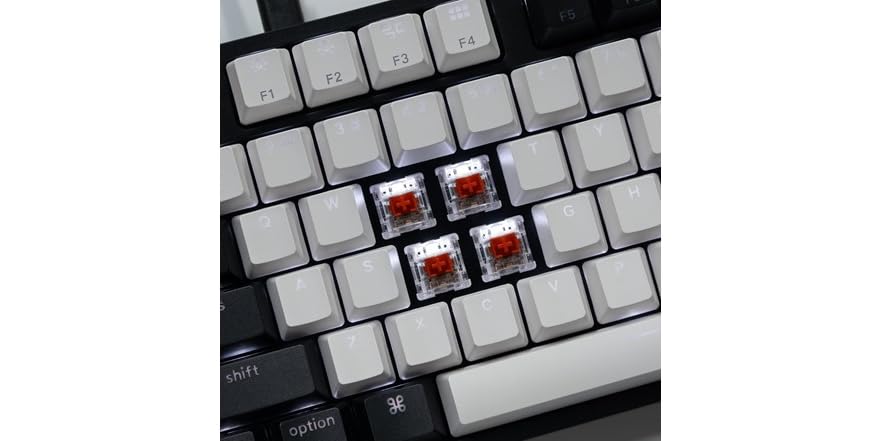 Keychron C2 Full-Size Wired Mechanical Gaming Keyboard