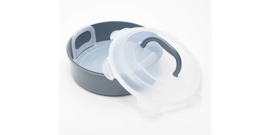 LocknLock Pie Carrier with Handle