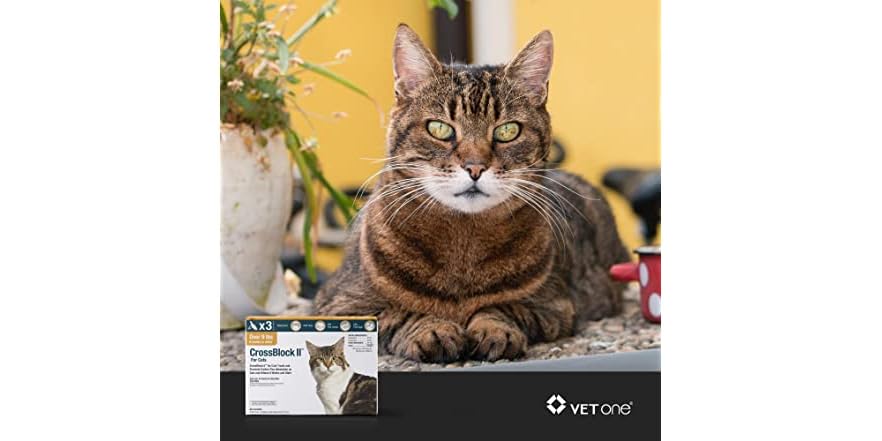 CrossBlock II Flea Preventative for Cats