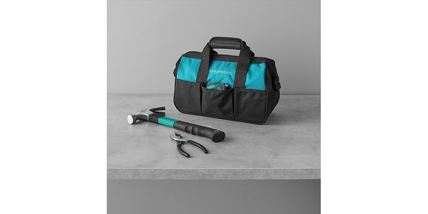 Amazon Basics 165-Pc Tool Set w/ Bag