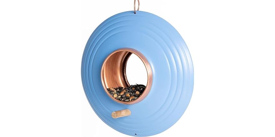 Circle Fly-Thru™ Bird Feeder by Good Directions