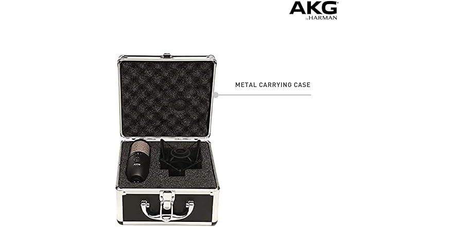 AKG Pro Audio P420 Dual Microphone