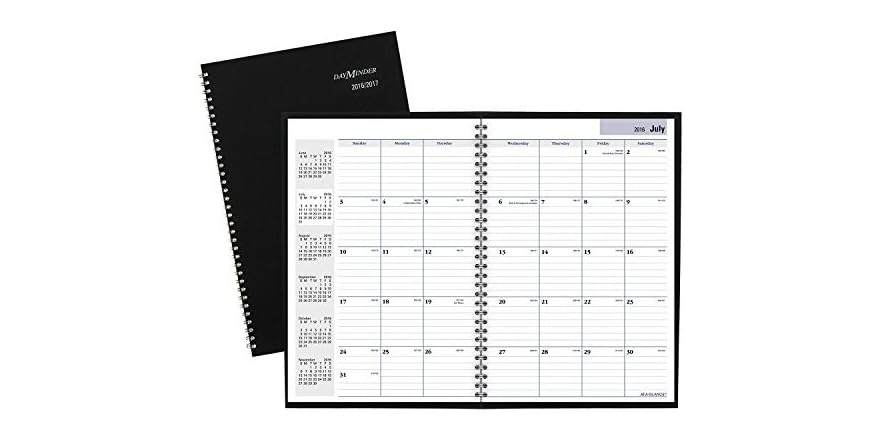 DayMinder Monthly Planner 7/16 - 8/17