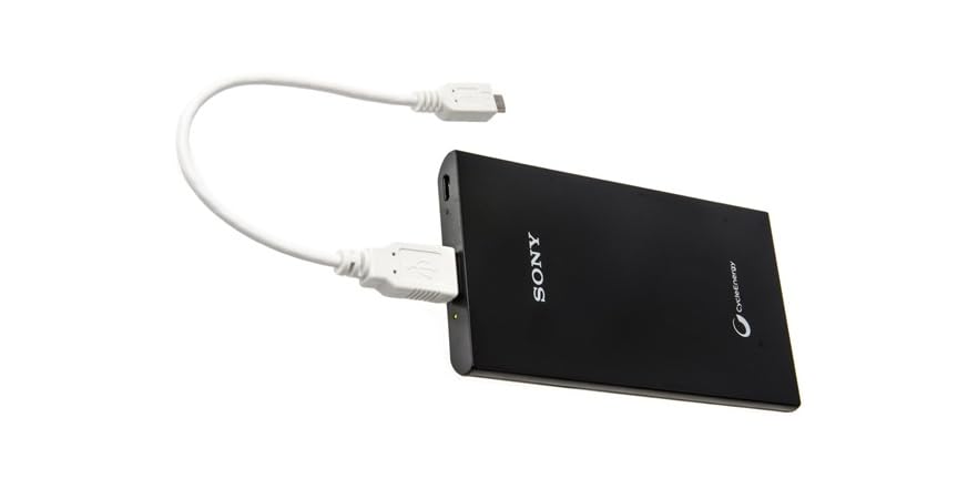SONY 5,000 mAh Power Bank - 2 Pk