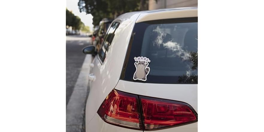 3pc Raccoon Chaos Sticker Meme