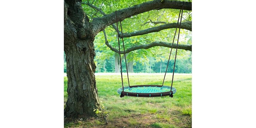 Spider Web Tree Swing