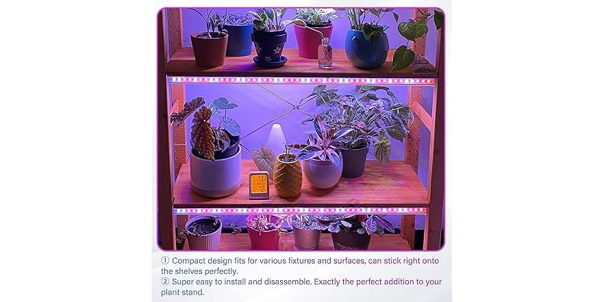 iPower LED Grow Light 2-Pack