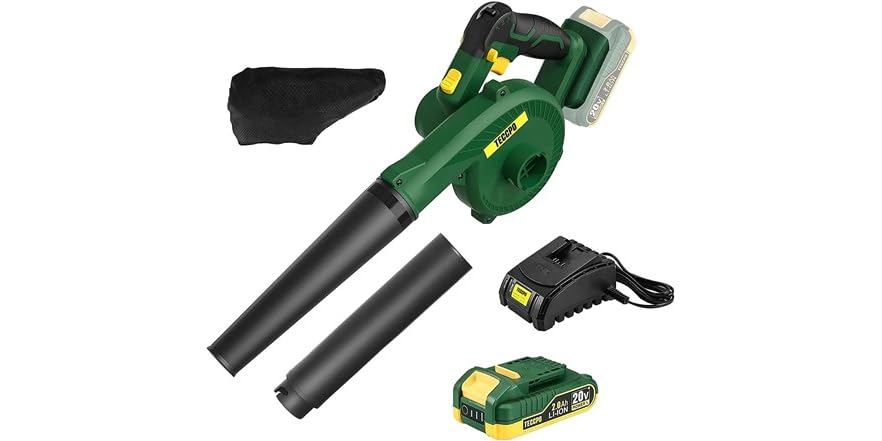 TECCPO 20V Cordless Blower/Sweeper w/Batt & Chgr