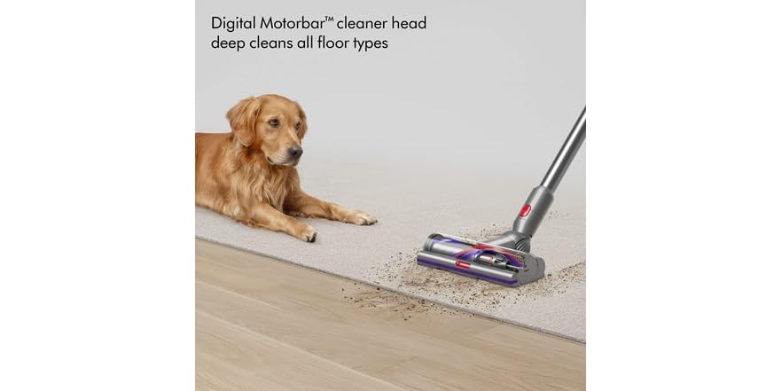 Dyson V15 Detect Handheld Stick Vacuum (Open Box)