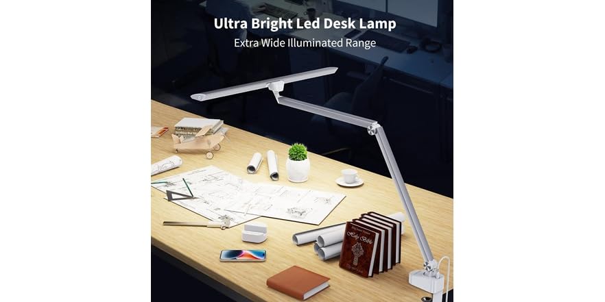 Kary LED Desk Lamp