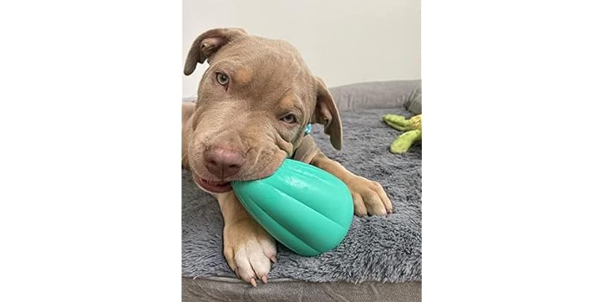 Chew King Rubber Premium Treat Dog Toy, XL