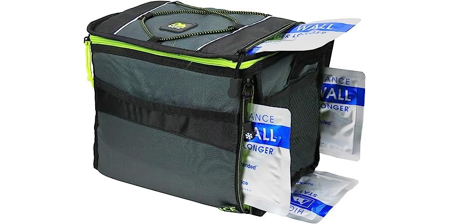 Arctic Zone Insulated Cooler Holds 12 Cans