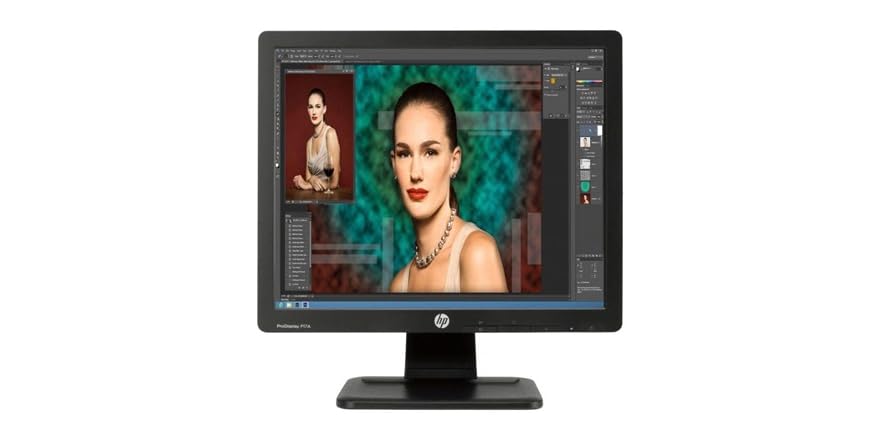 HP 17" ProDisplay P17A Monitor