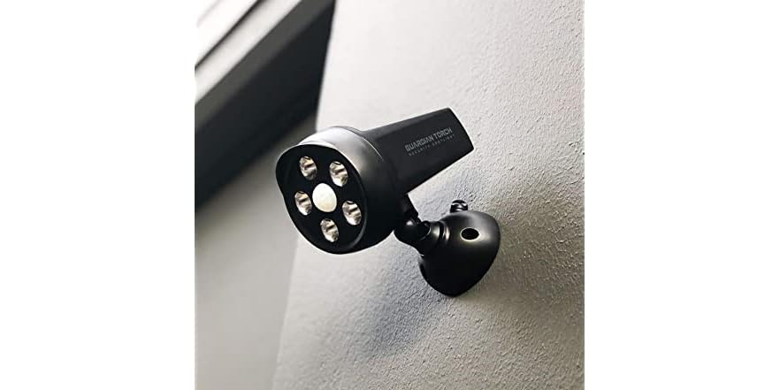 Guardian Torch Motion Outdoor Spotlight 2Pk