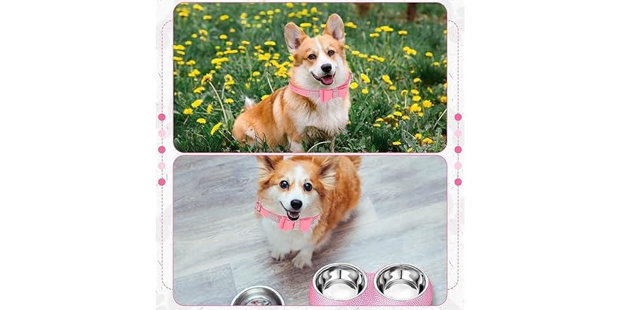 2 Pcs Pink Dog Cat Bowl & Collar Set