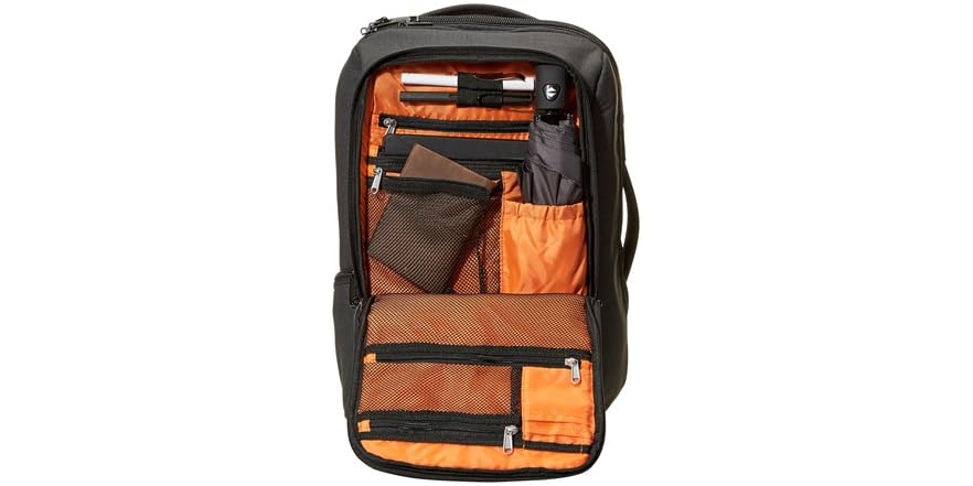 AmazonBasics Carry-On Travel Backpack- Pick Color