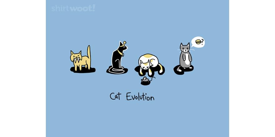 Cat Evolution