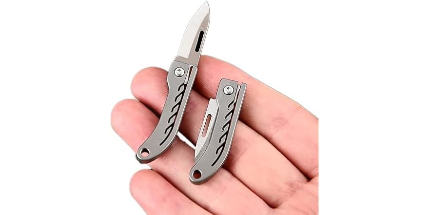 (2 Pack) Ultra Small Folding Knife