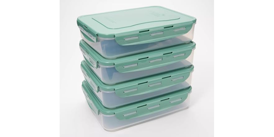 LocknLock Set of (4) Rectangle Storage Set