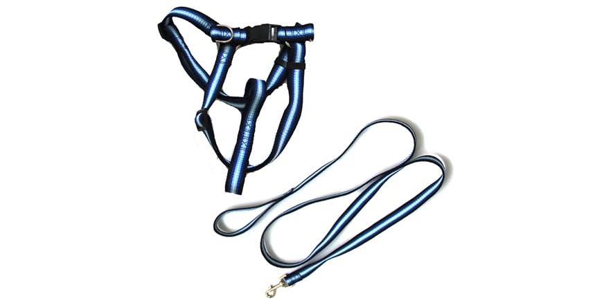 Rainbow Harness with Leash