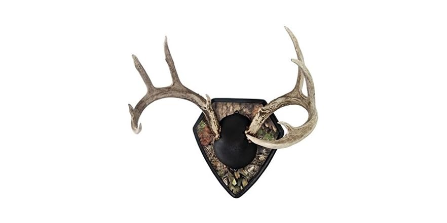 Allen Big Buck Trophy Mount Kit