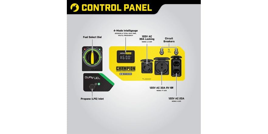 Champion 4375/3500W Dual Fuel Generator