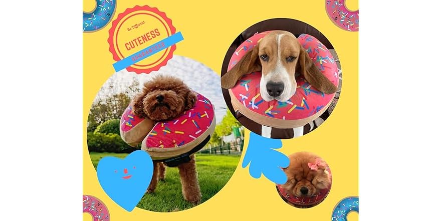 Dog Donut Collar