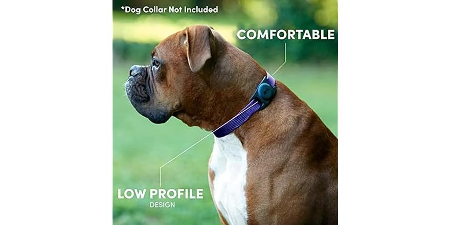 Case-Mate Airtag Dog Collar Holder