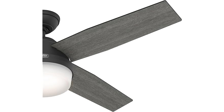 Hunter Fan 52" w/ Light Kit and Remote