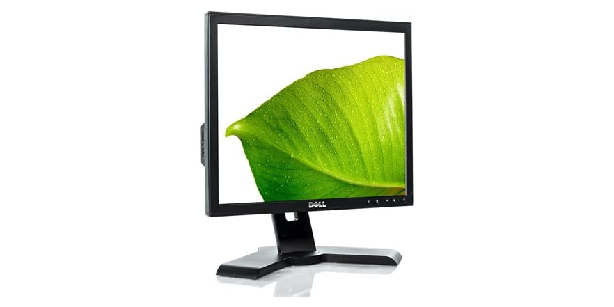 Dell P170ST 17" LCD Flat Panel - Black