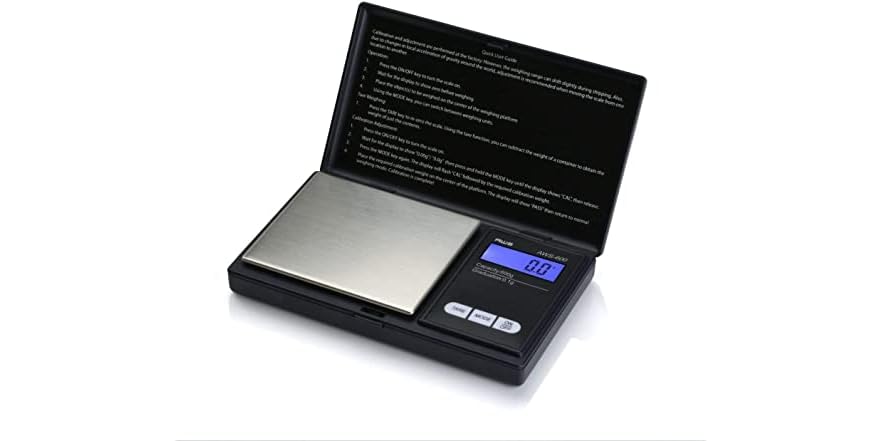 1000G x 0.1G Pocket Scale