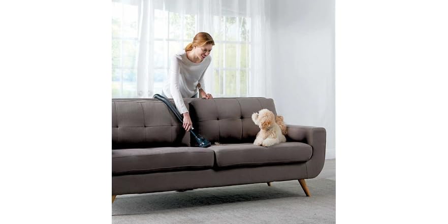 Eureka FloorRover Dash Upright Vac (S+D)