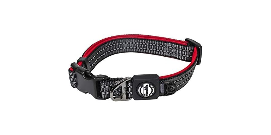 Franklin Reflective Dog Collar