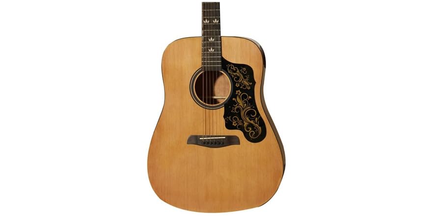 Sawtooth Acoustic Guitar Bundle