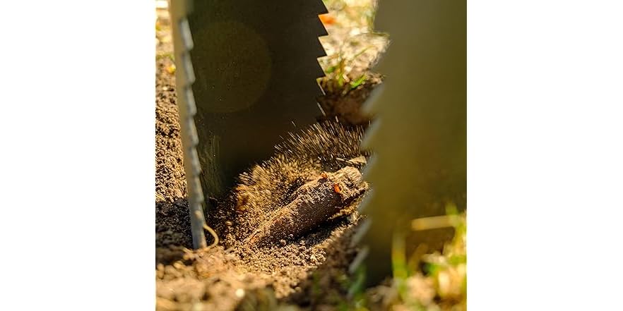 Radius Garden Root Slayer Post Hole Digger