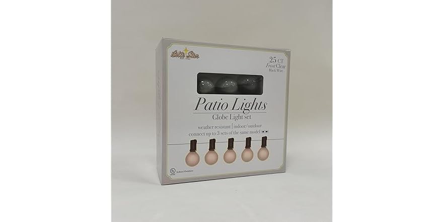 Brite Star 25 Count Frosted Clear G40 Light Set