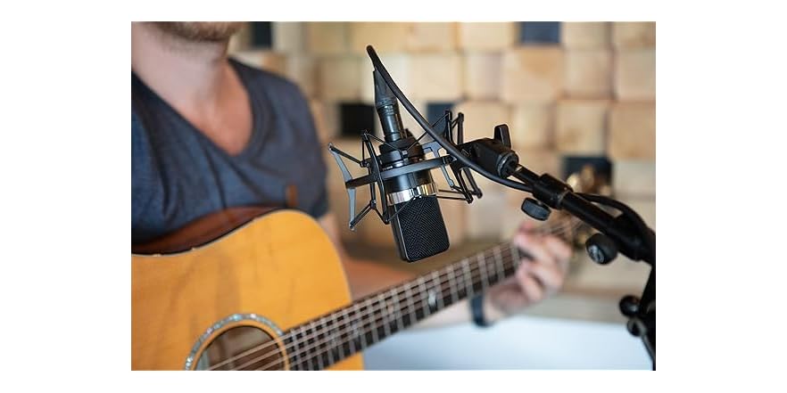 Neumann TLM 102 Black (Open Box)