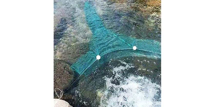 Fiskenet Fishing Net Small Mesh Trap