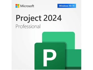 Microsoft Project Professional 2024