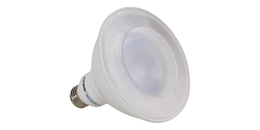 Energetic Lighting 1050 Lumen LED Light Bulb