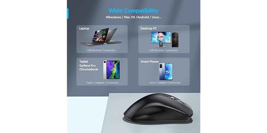 Rapique Wireless Computer Mouse