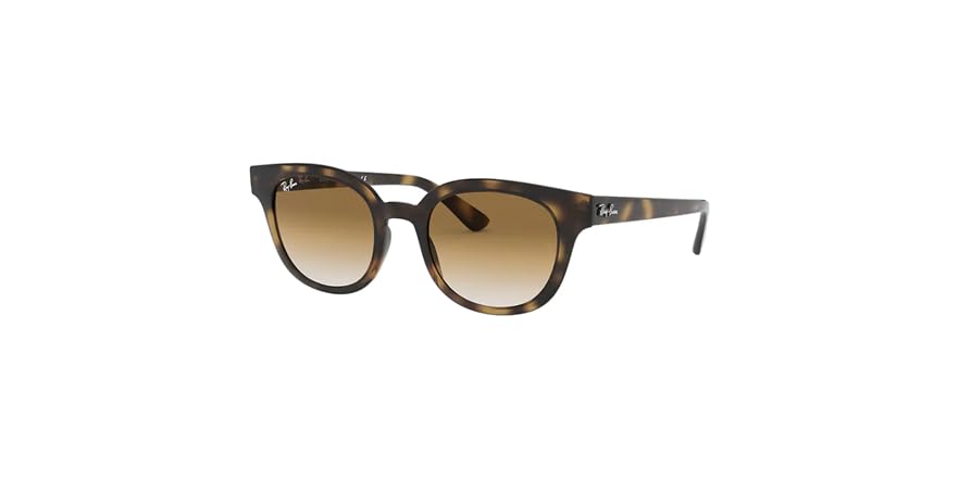 Ray-Ban Unisex 4324 Sunglasses